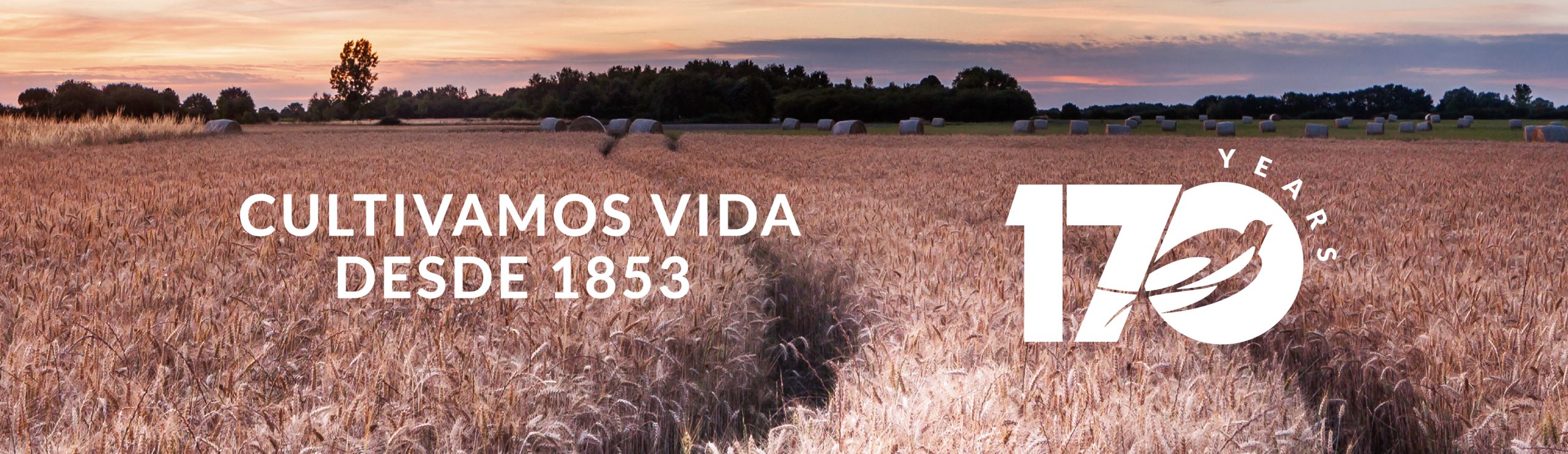 Lesaffre Colombia | Fabricante y distribuidor de levaduras y mejoradores